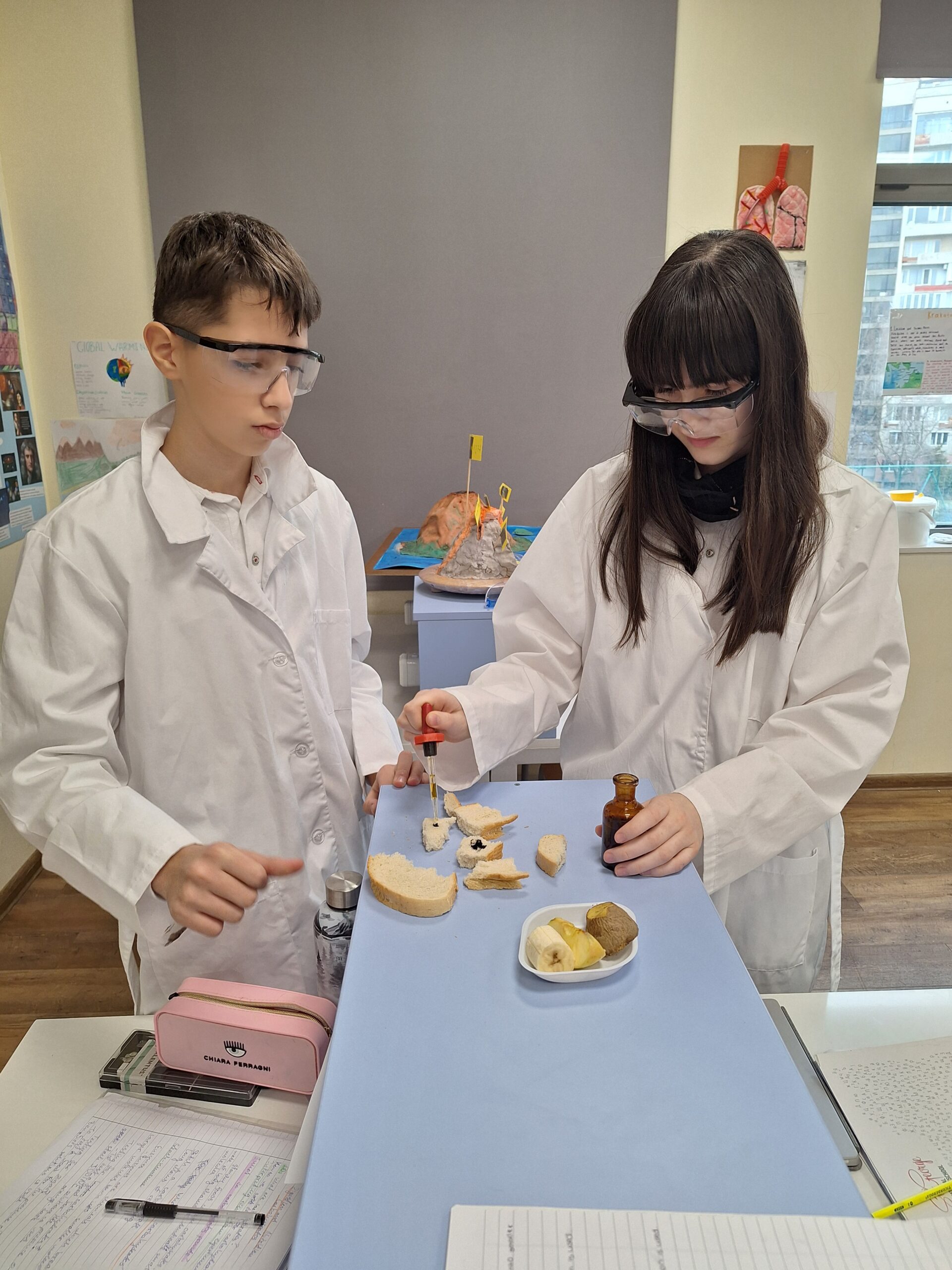 Food Detectives – St. George